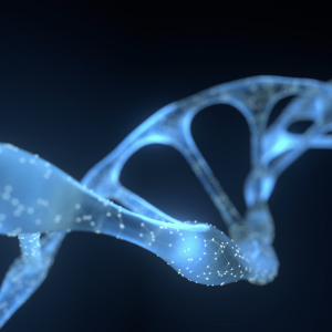 Explore | InnerScience Research Fund